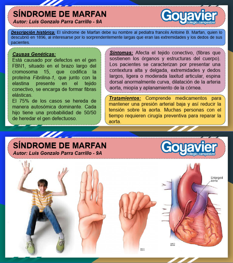 Ficha Genética | PDF