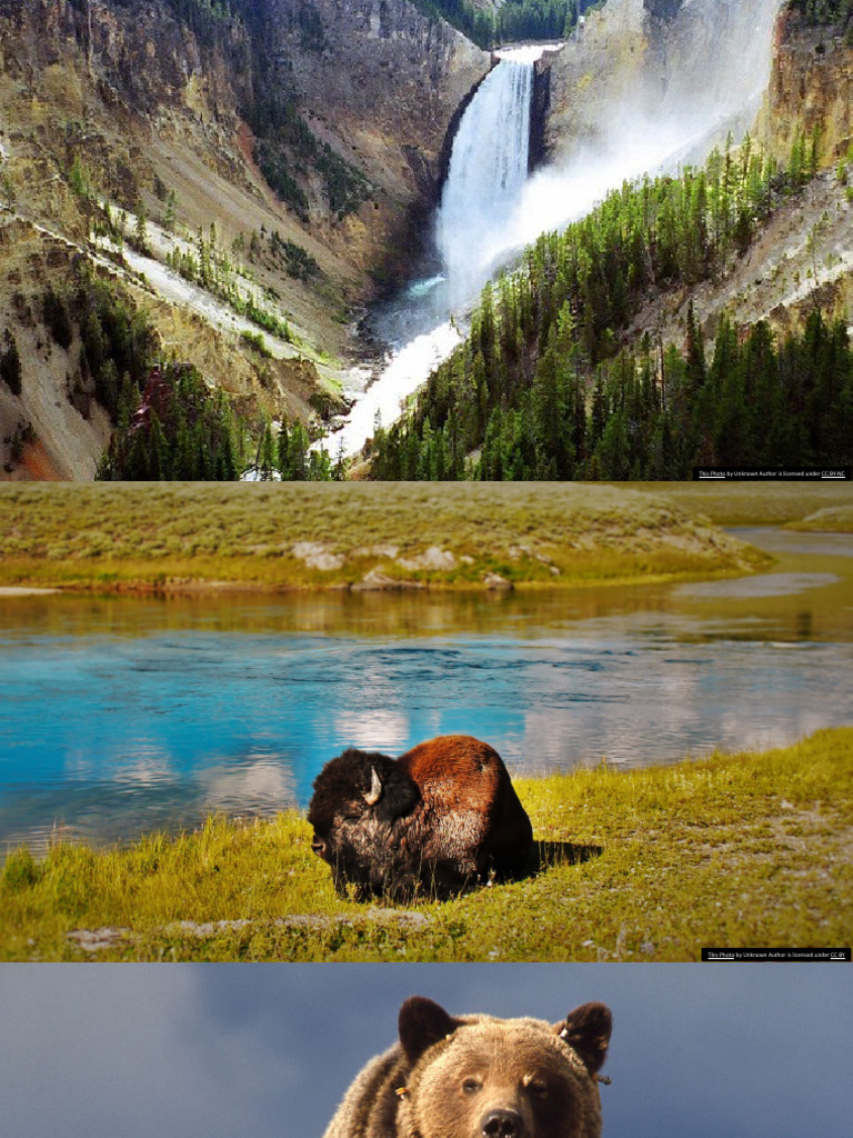 Pecha Kucha Example Template | PDF