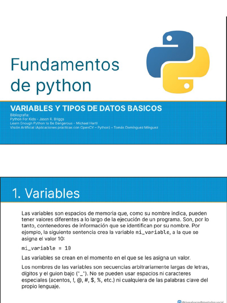 Variables y Tipos de Datos Basicos | PDF