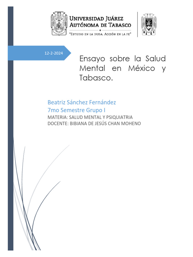 Ensayo Salud Mental | PDF