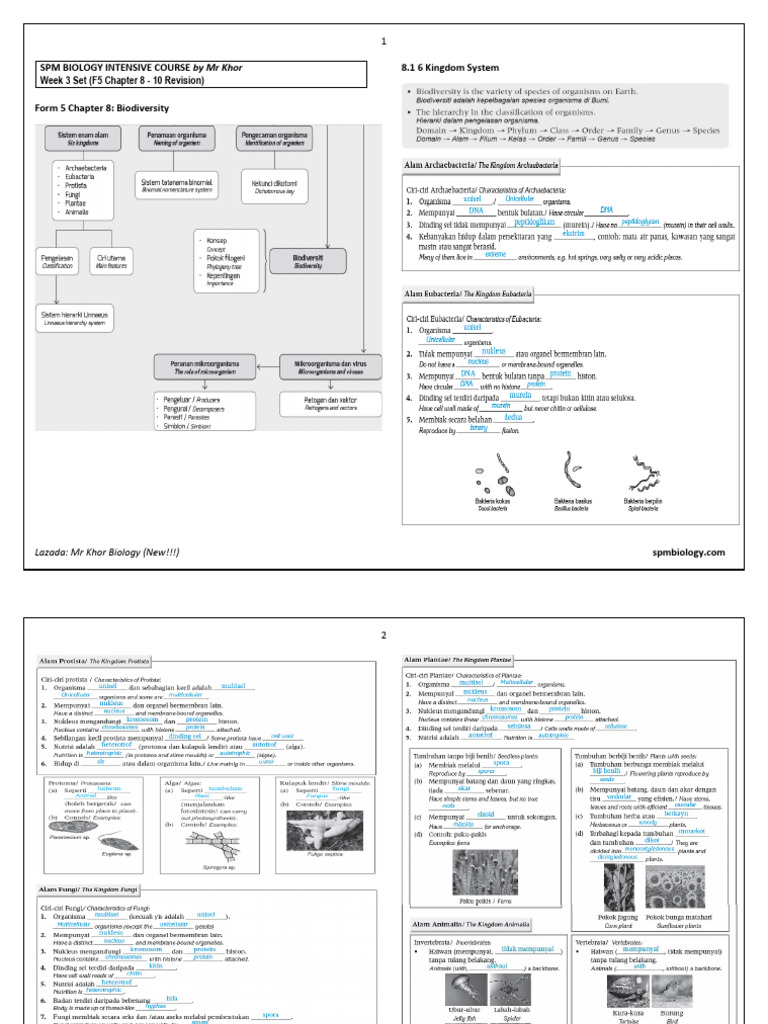 F5 Set 3 (B8-10) Revision | PDF | Earth Sciences | Systems Ecology