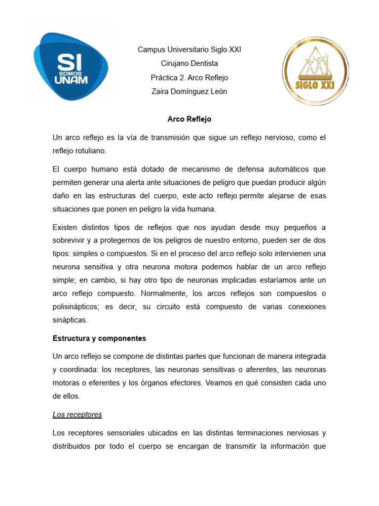 Definición y componentes del arco reflejo | PDF | Neurona | Fisiología