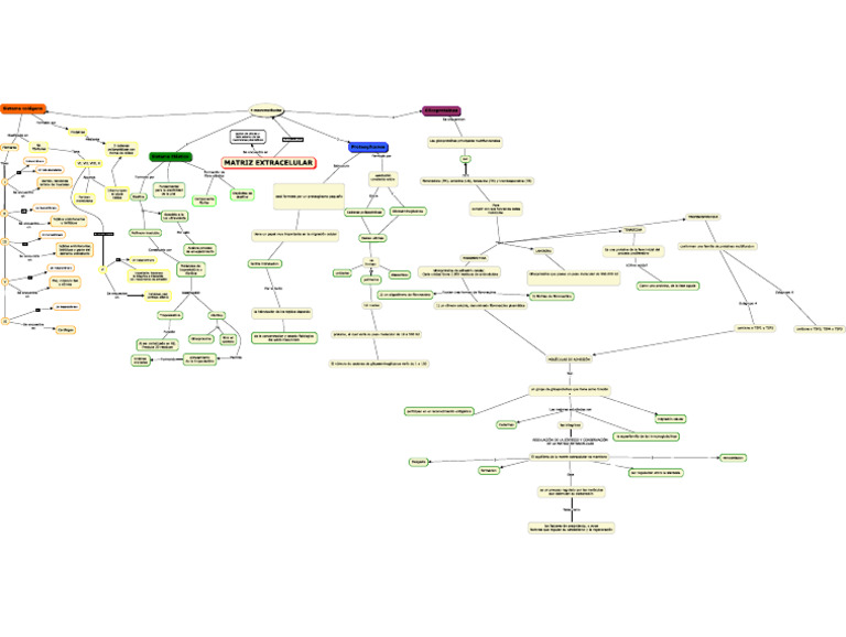 Matriz Extracelular (MapaMental) | PDF