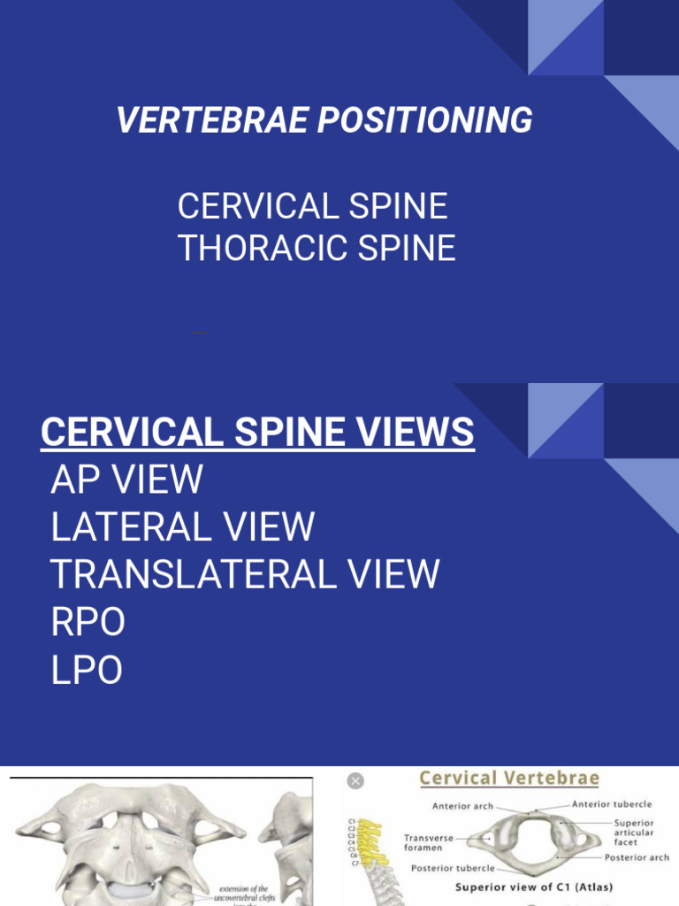 Vertebrae X Ray Positioning | PDF | Vertebral Column | Anatomical Terms ...
