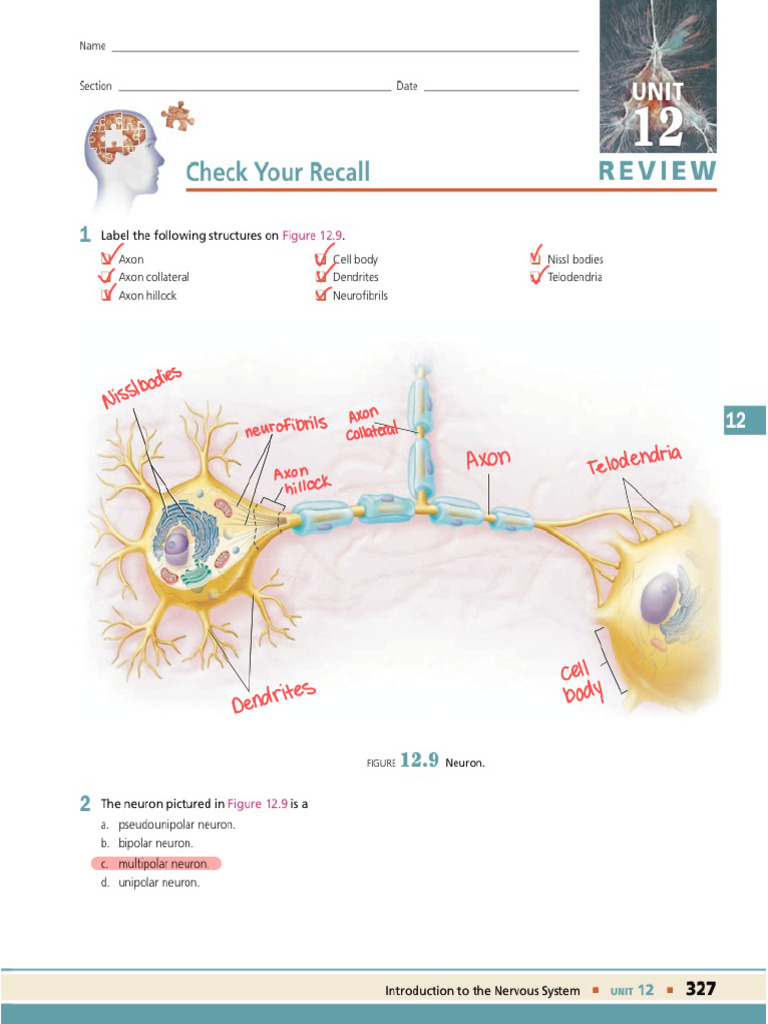 BIO 208L Exam 4 Worksheets | PDF