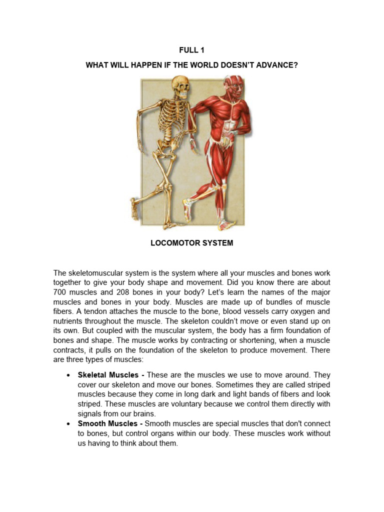 Locomotor System | PDF