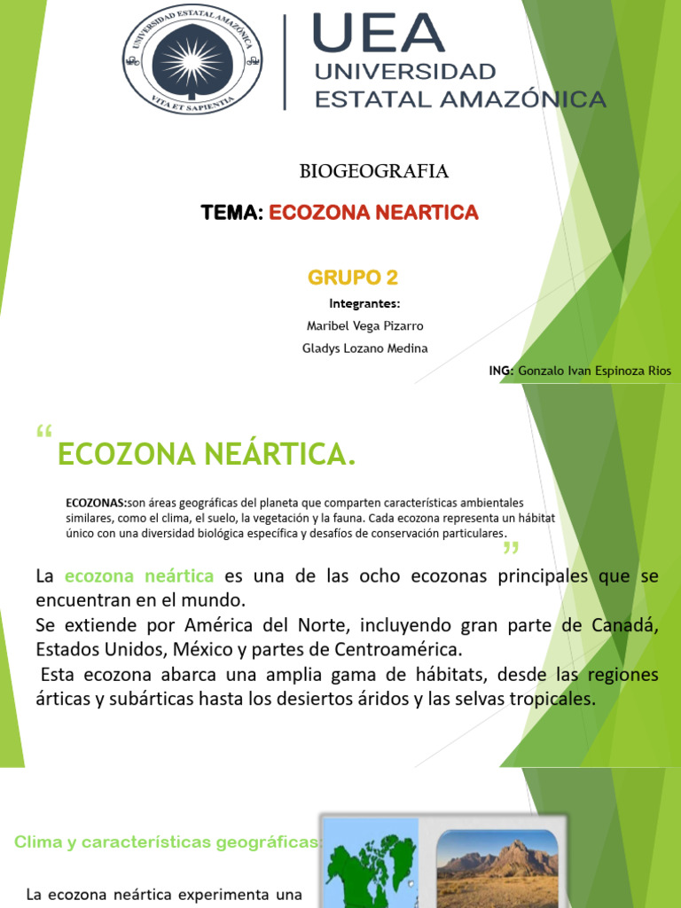 Exponer Ecozona | PDF | Abeto Douglas | Movimiento conservacionista
