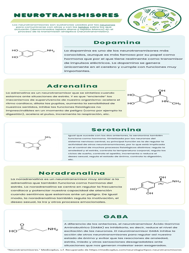 Neurotransmisores | PDF | Norepinefrina | Neurotransmisor