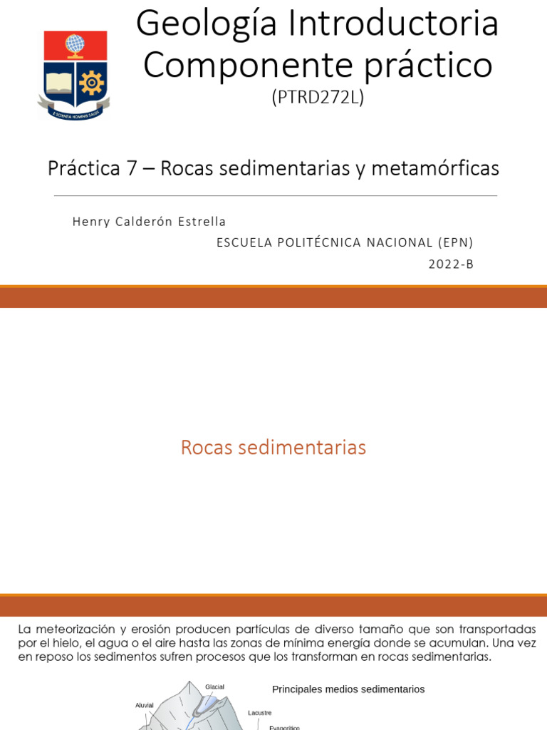 Clase - Práctica 7 - Rocas Sedimentarias y Metamórficas | PDF | Roca (geología) | Roca clástica