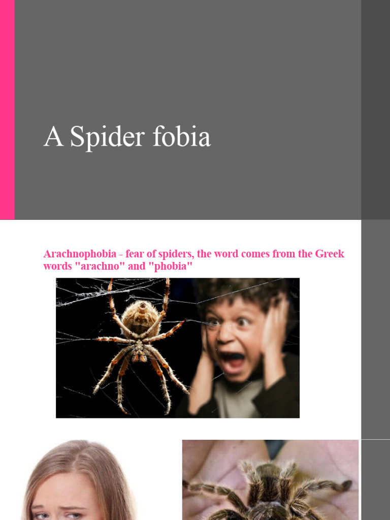 A Spider Fobia | PDF
