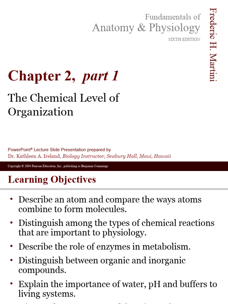 02-01 - The Chemical Level of Organization | PDF | Chemical Bond ...