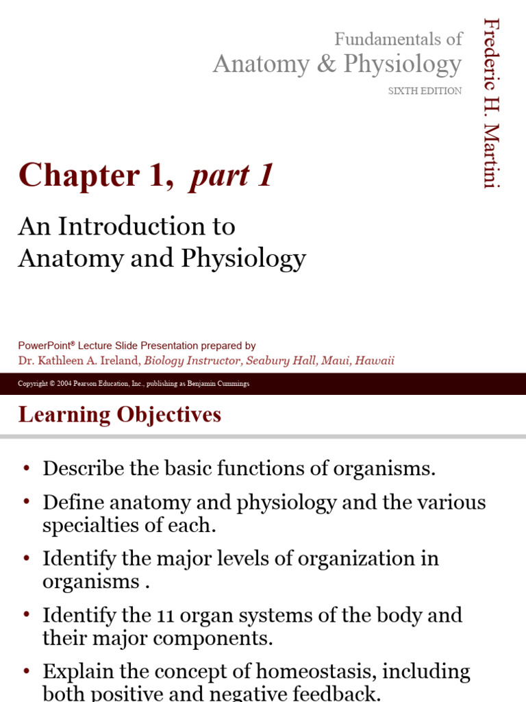 01-01 - An Introduction To Anatomy and Physiology | PDF | Anatomy ...