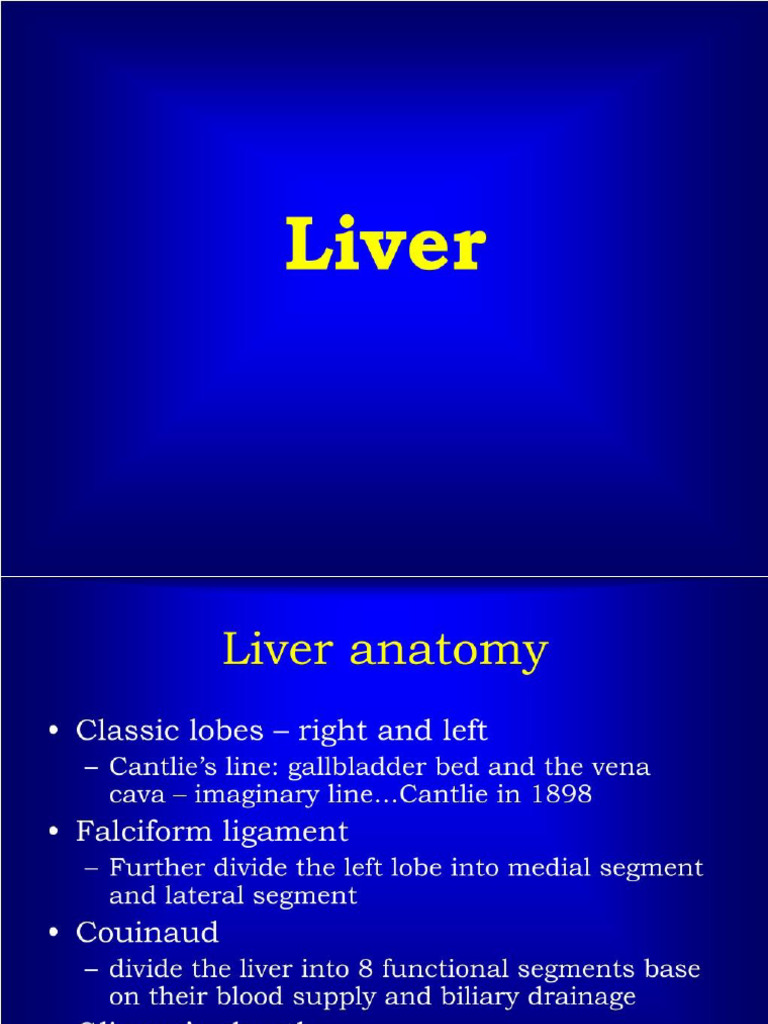 Liver | PDF