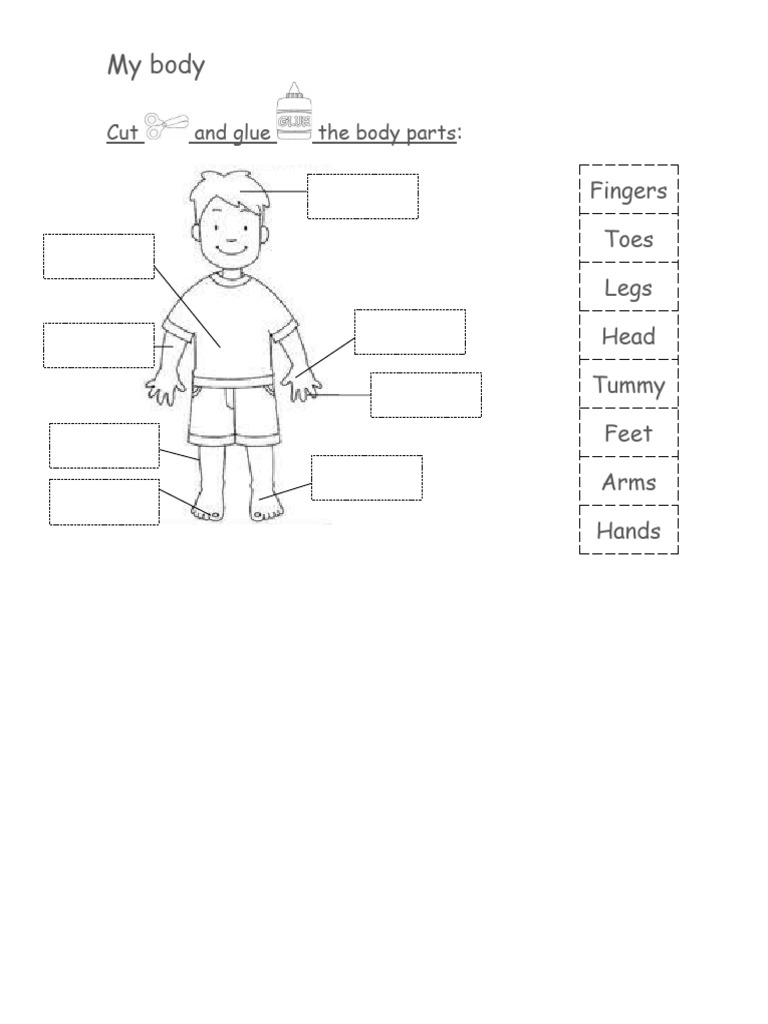Body Parts Worksheet | PDF