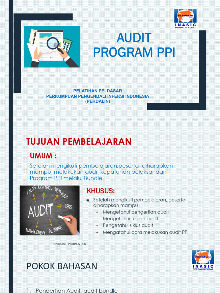 Audit Program - Ppi. Dasar - Elis | PDF