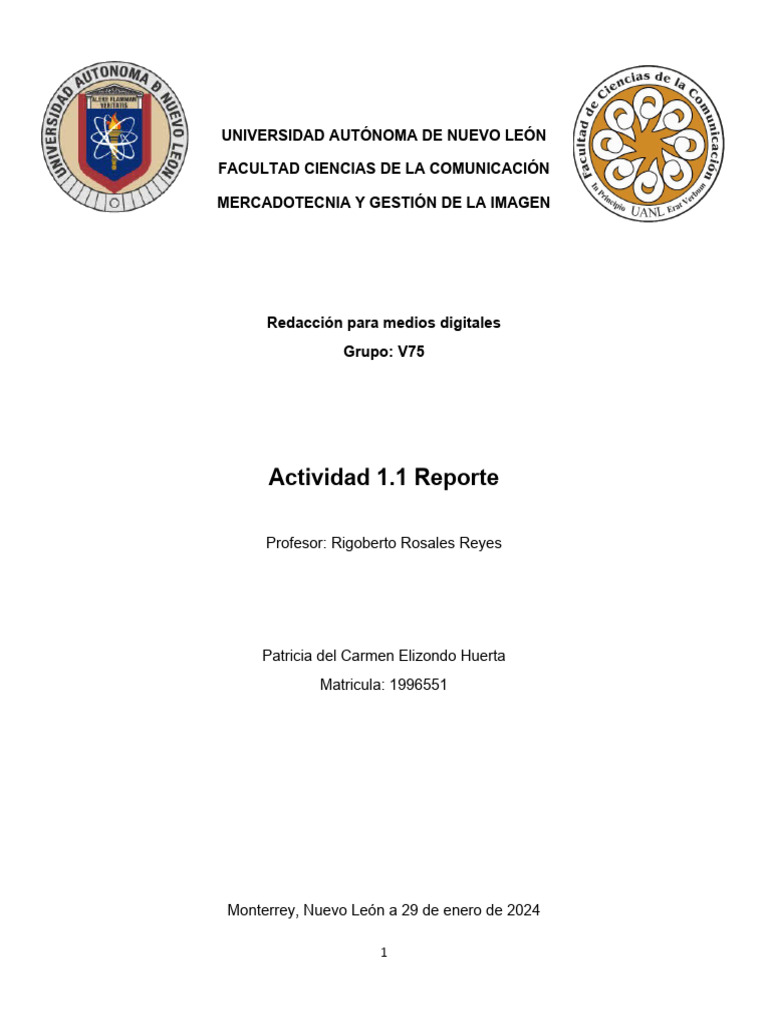Actividad 1.1 Reporte Redaccion | PDF | Millennials | Internet