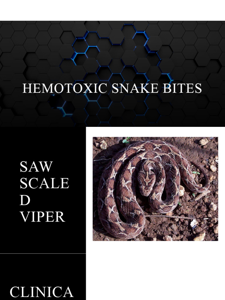 Hemotoxic Snakebite | PDF | Human Diseases And Disorders | Medicine
