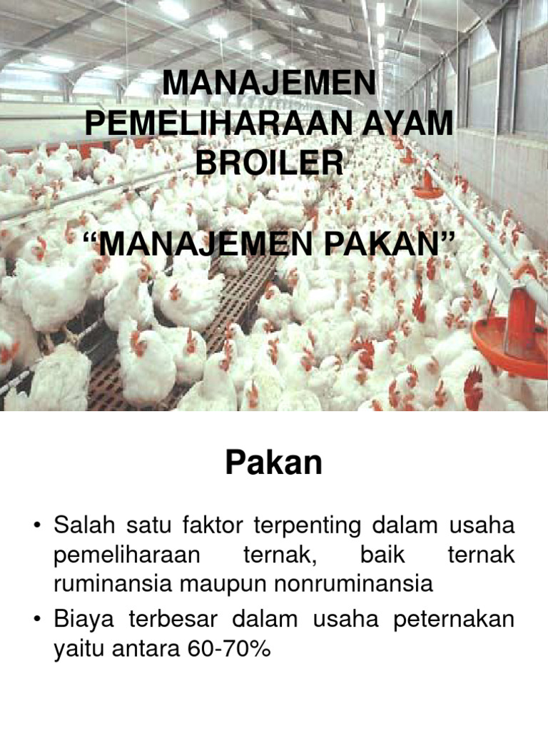 5 - Manajemen Broiler, Pakan | PDF | Kesehatan Holistik