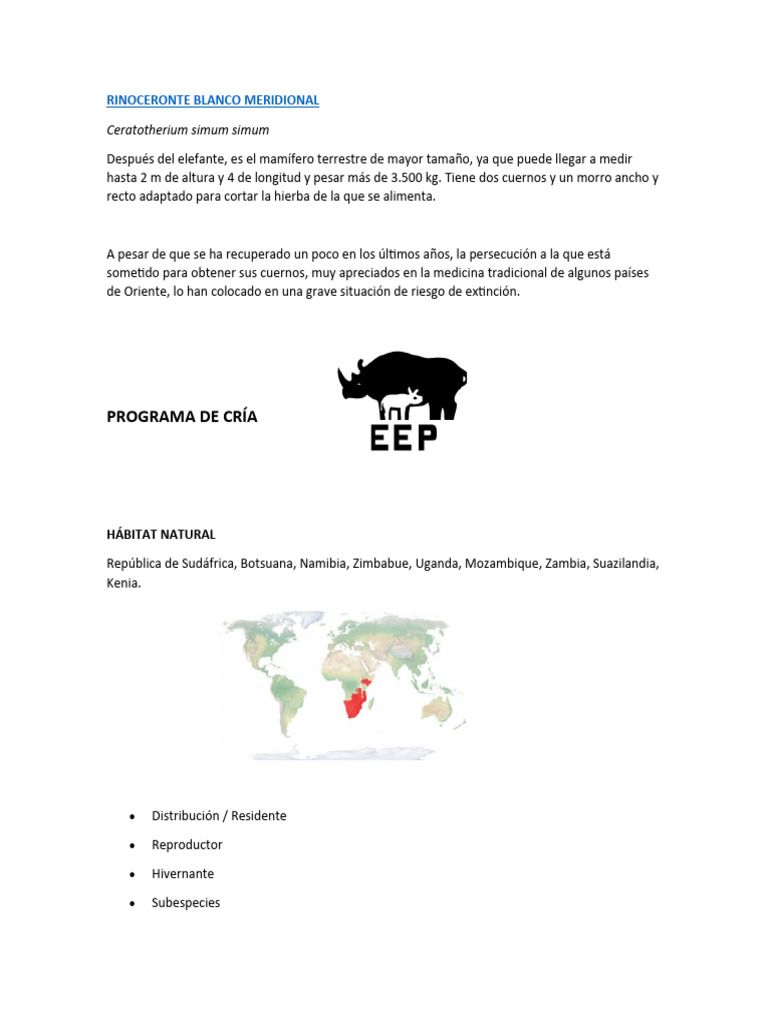 Rinoceronte Blanco Meridional | PDF | Rinoceronte | Ungulados de dedos ...