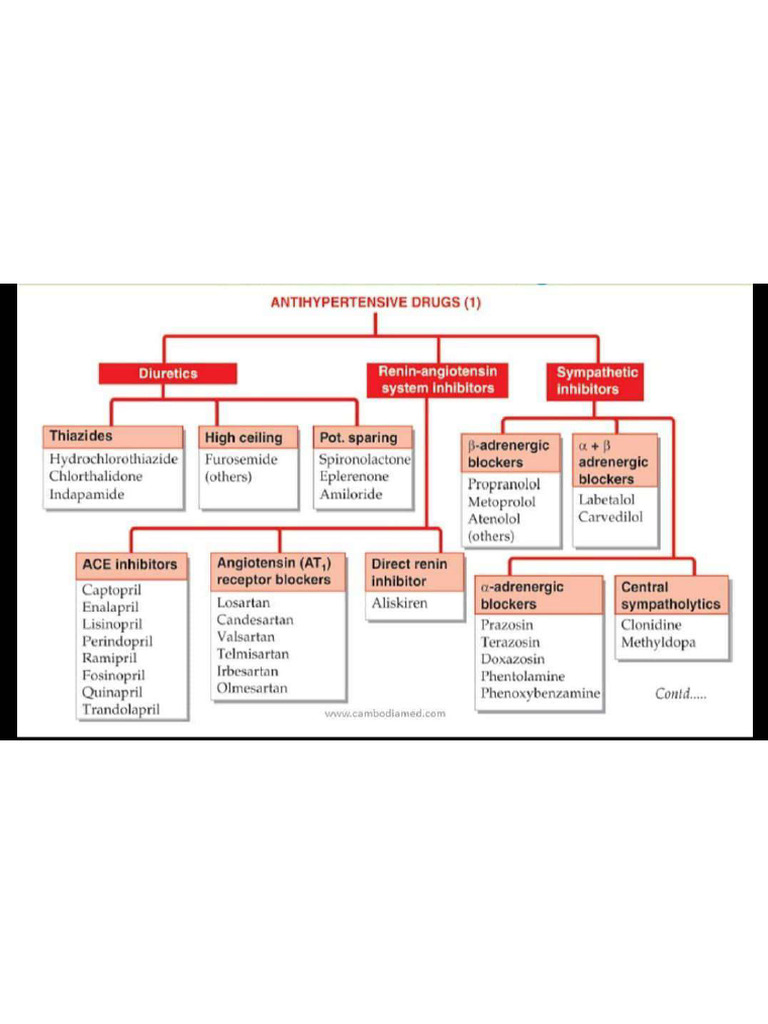 Classification of Anti Hypertensive Drugs | PDF