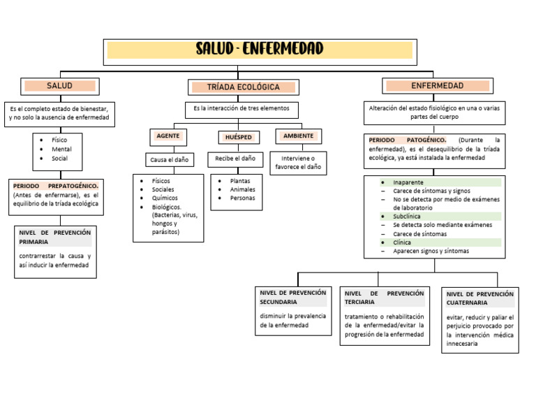 Mapa Conceptual Salud-Enfermedad | PDF | Causas de la muerte | Medicina CLINICA