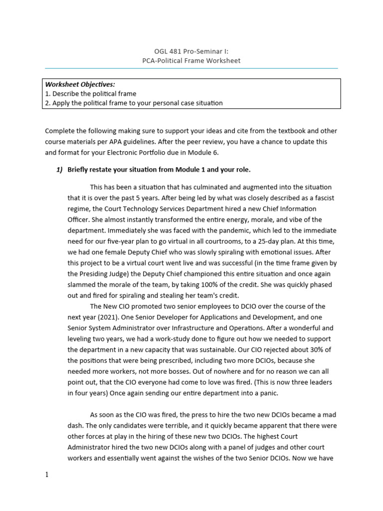 4 Political Frame Worksheet | PDF | Chief Information Officer