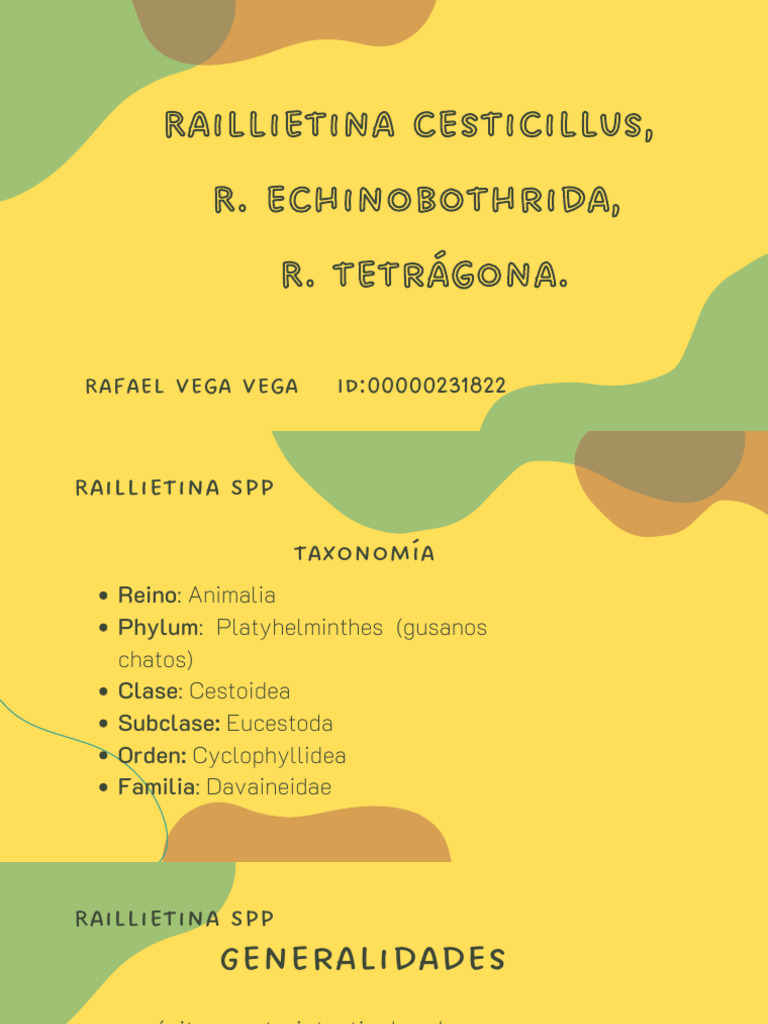 Exposición Parasitología Raillietina | PDF | Biología