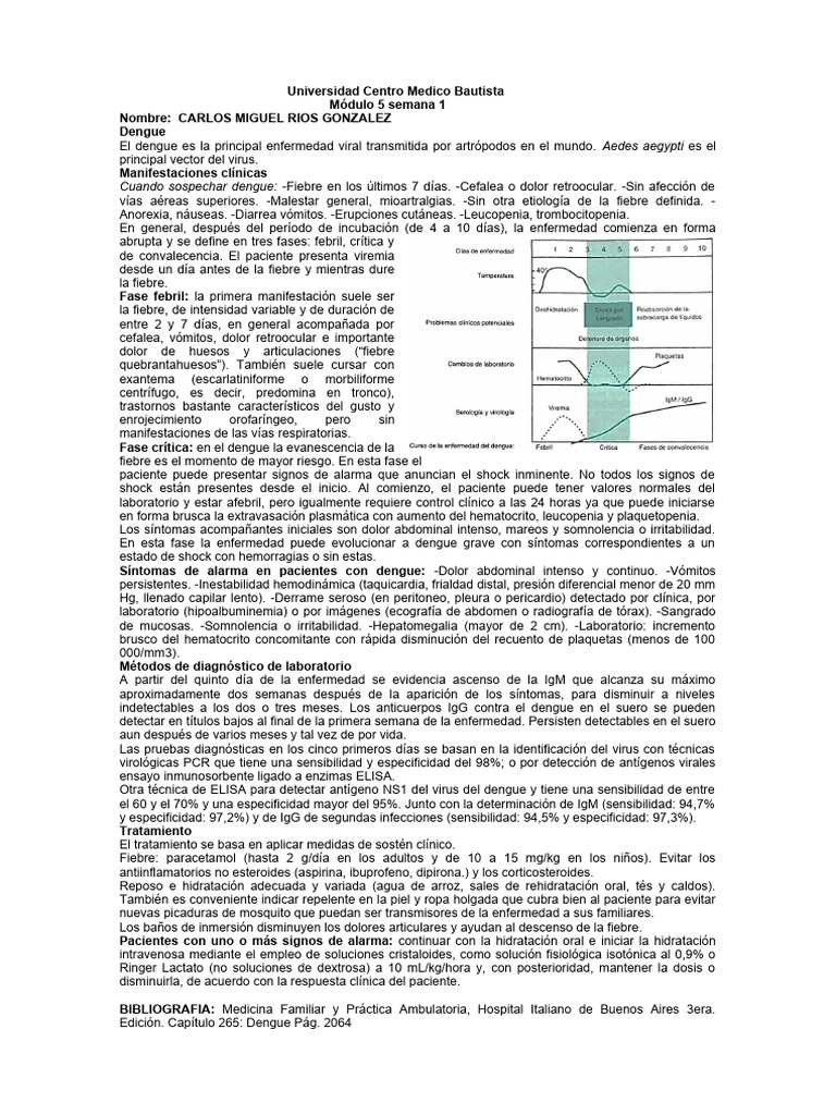 Dengue: Síntomas, Diagnóstico y Tratamiento | PDF | Influenza | Meningitis