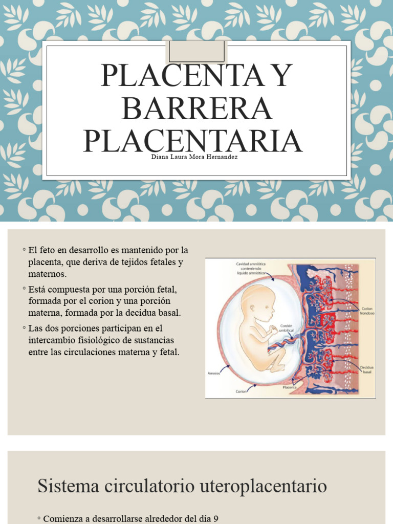 Placenta y Barrera Placentaria | PDF | Placenta | Medicina CLINICA