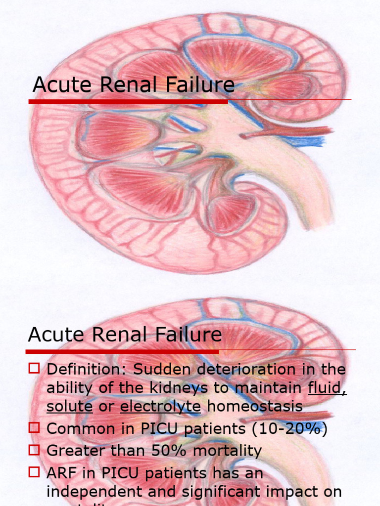 Acute Renal Failure | PDF | Kidney | Nephrology