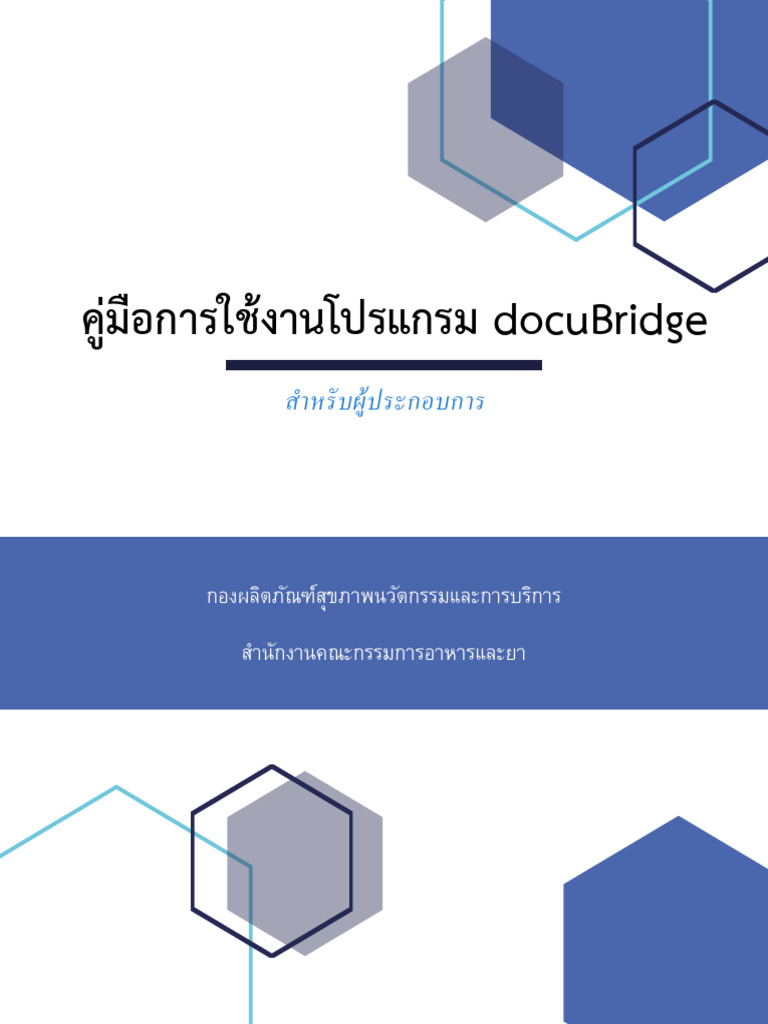 Docubridge | PDF