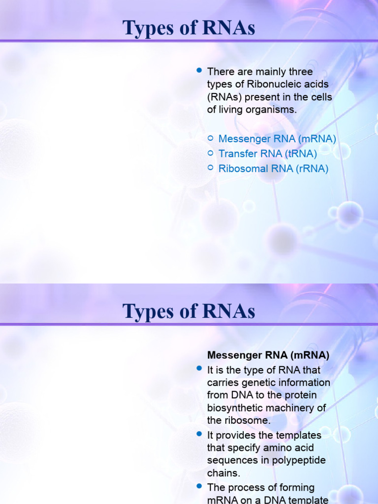 Lesson - 13 - Types of RNAs | PDF | Science & Mathematics