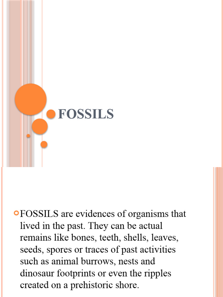 8 Fossils | PDF | Fossil | Radioactive Decay