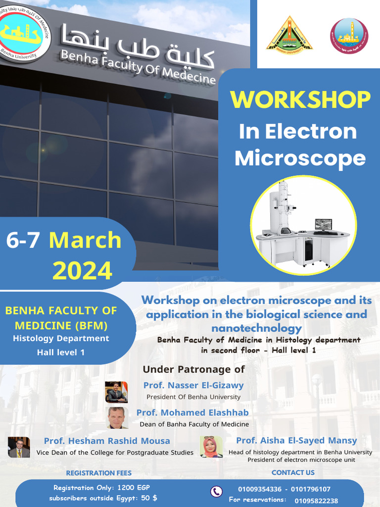 Benha Faculty of Medicine | PDF