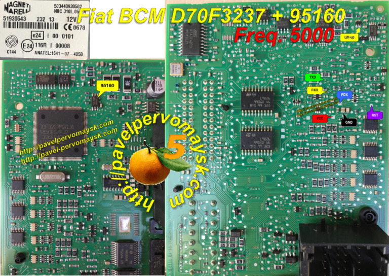 BCM D70F3237 Fiat | PDF