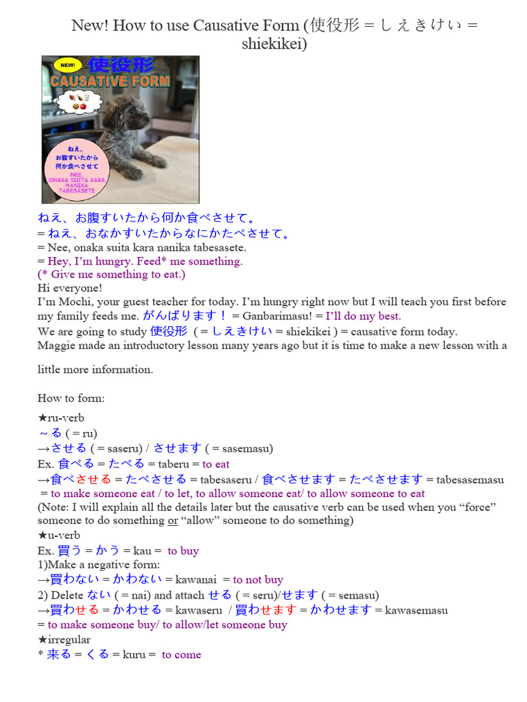 How to Use Causative Form (使役形 = しえきけい = Shiekikei) | PDF | Verb ...