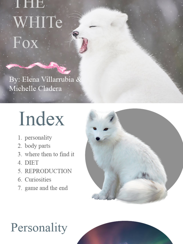 White Fox Presentation | PDF