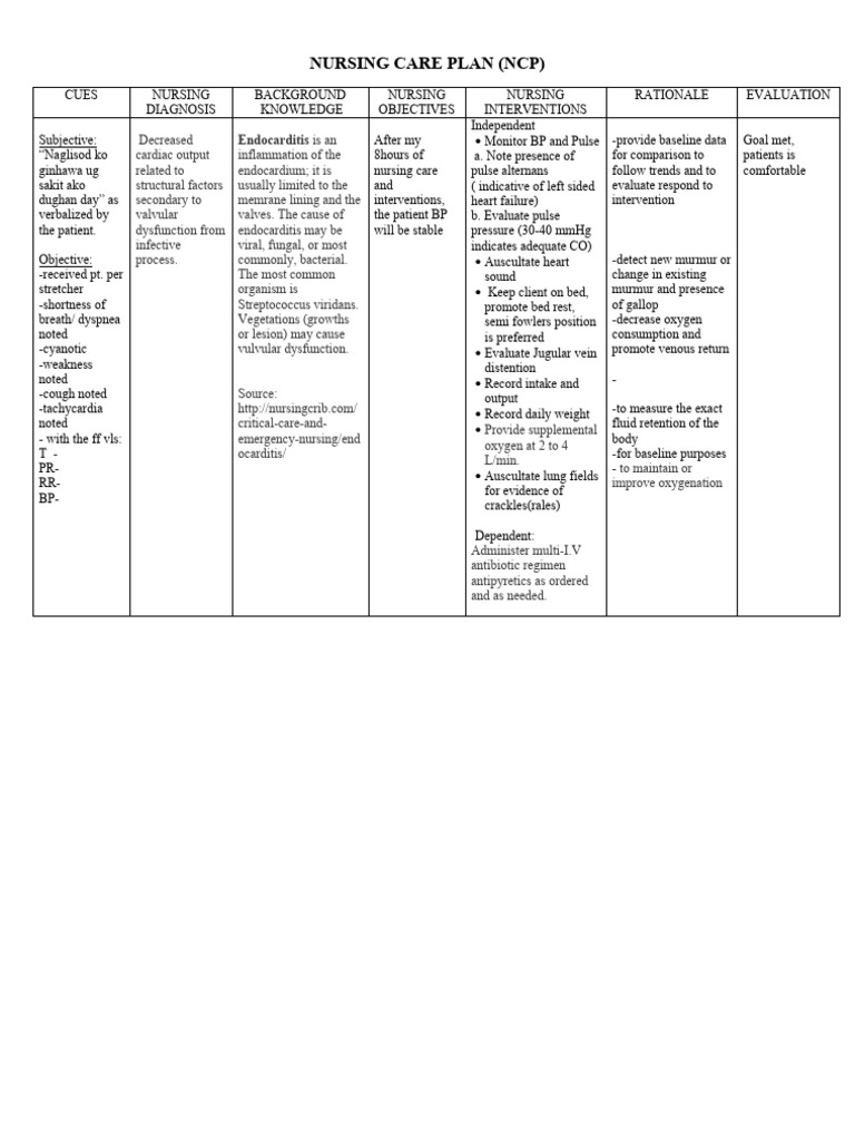 Nursing Care Plan Endocarditis | PDF | Heart | Health Sciences