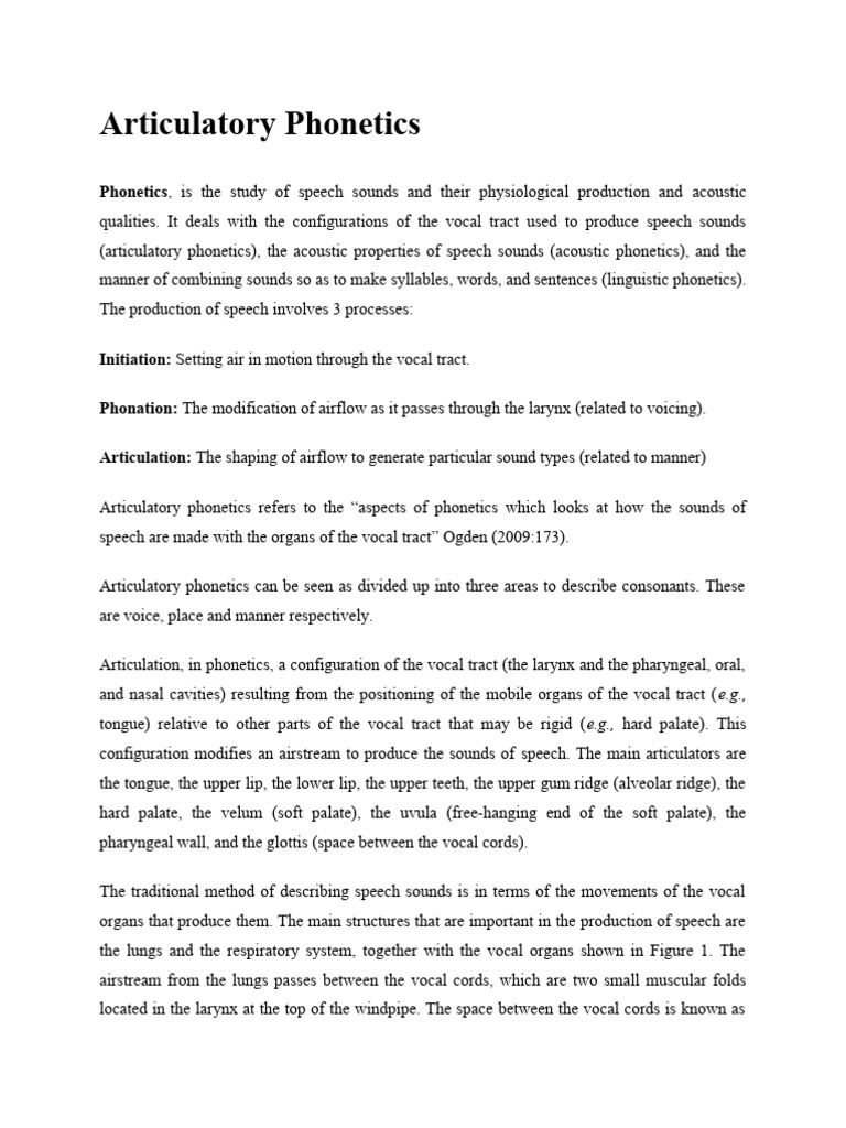 Articulatory Phonetics | PDF