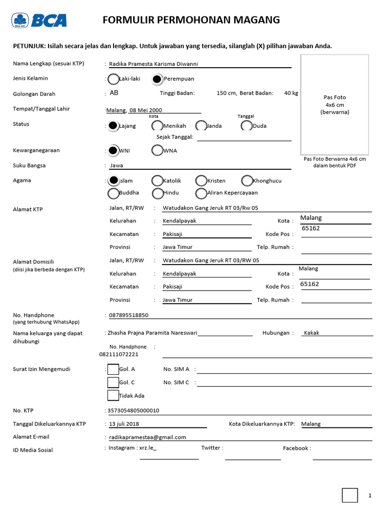 Formulir Permohonan Magang (Fillable Form 1) | PDF