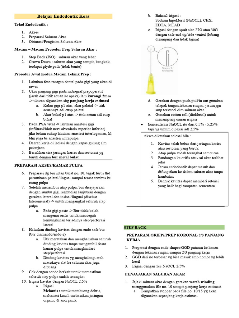 Belajar Cara Kerja Endo Koas | PDF