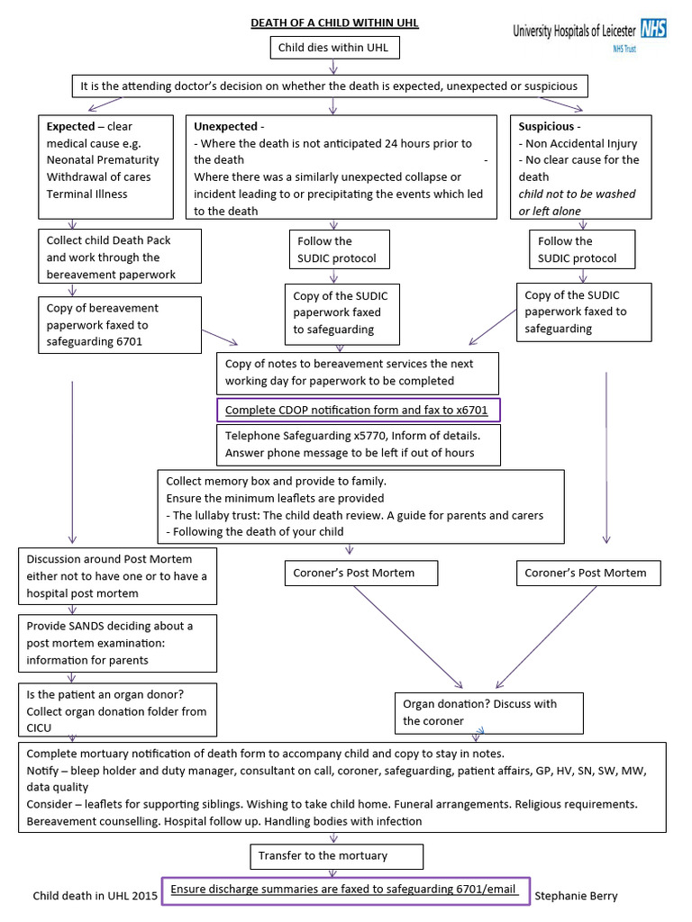 SUDIC Protocol for Child Death in UHL | PDF | Death | Grief