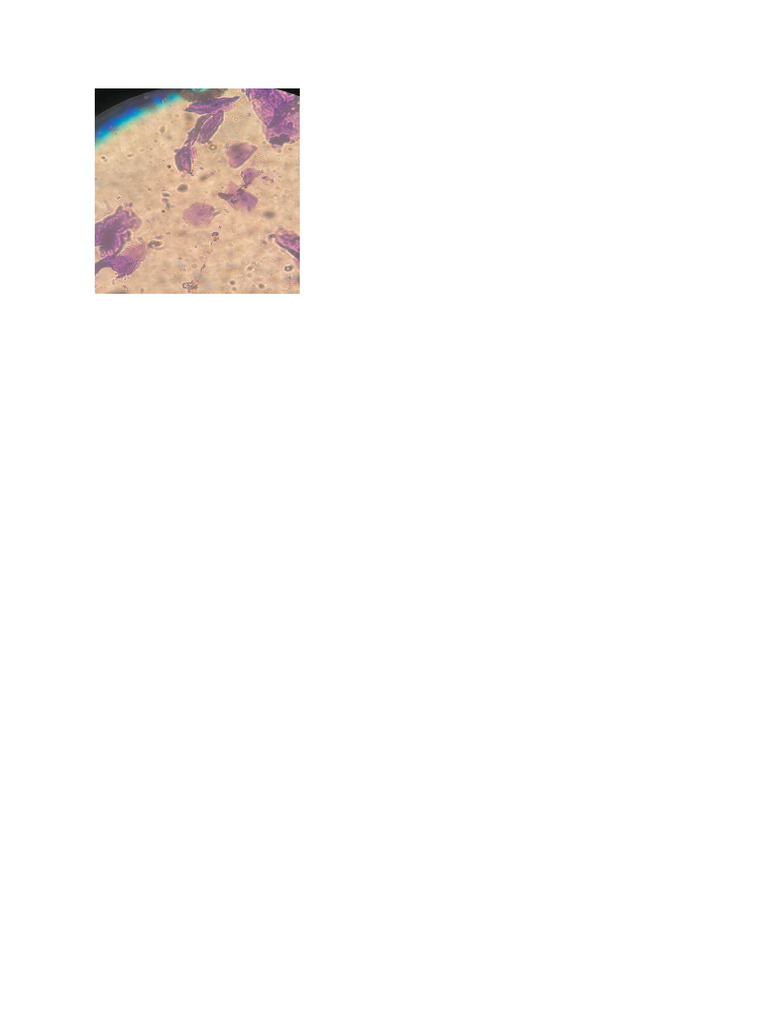 B1 Pi Pdf