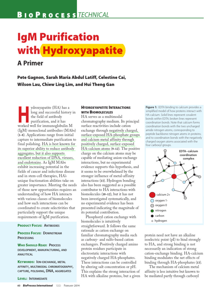 IgM Purification Using Hydroxyapatite | PDF | Monoclonal Antibody ...