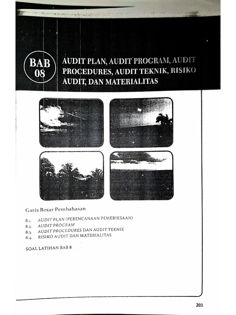 Audit Plan Audit Program | PDF
