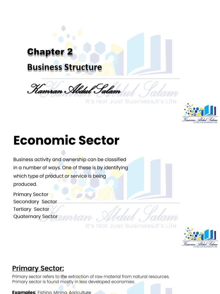 CH 2 - Business Structure | PDF