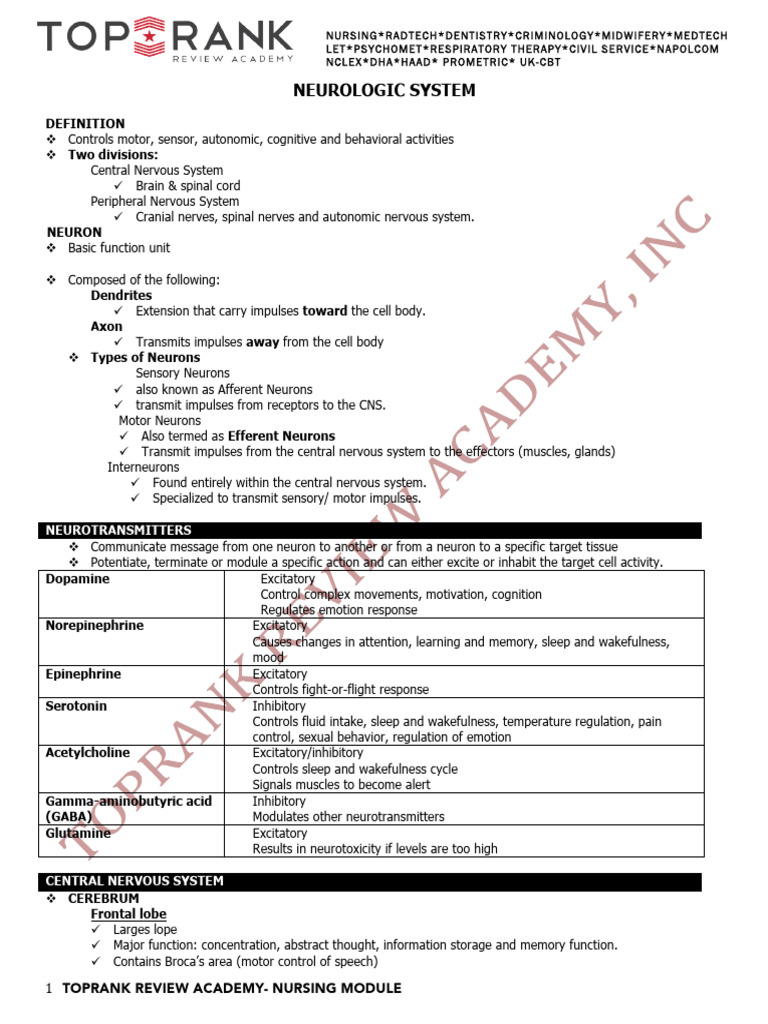 MS Neuro | PDF | Nervous System | Central Nervous System