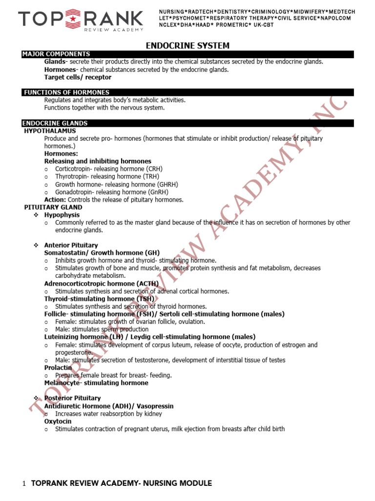 MS Endo | PDF | Adrenal Gland | Endocrine System