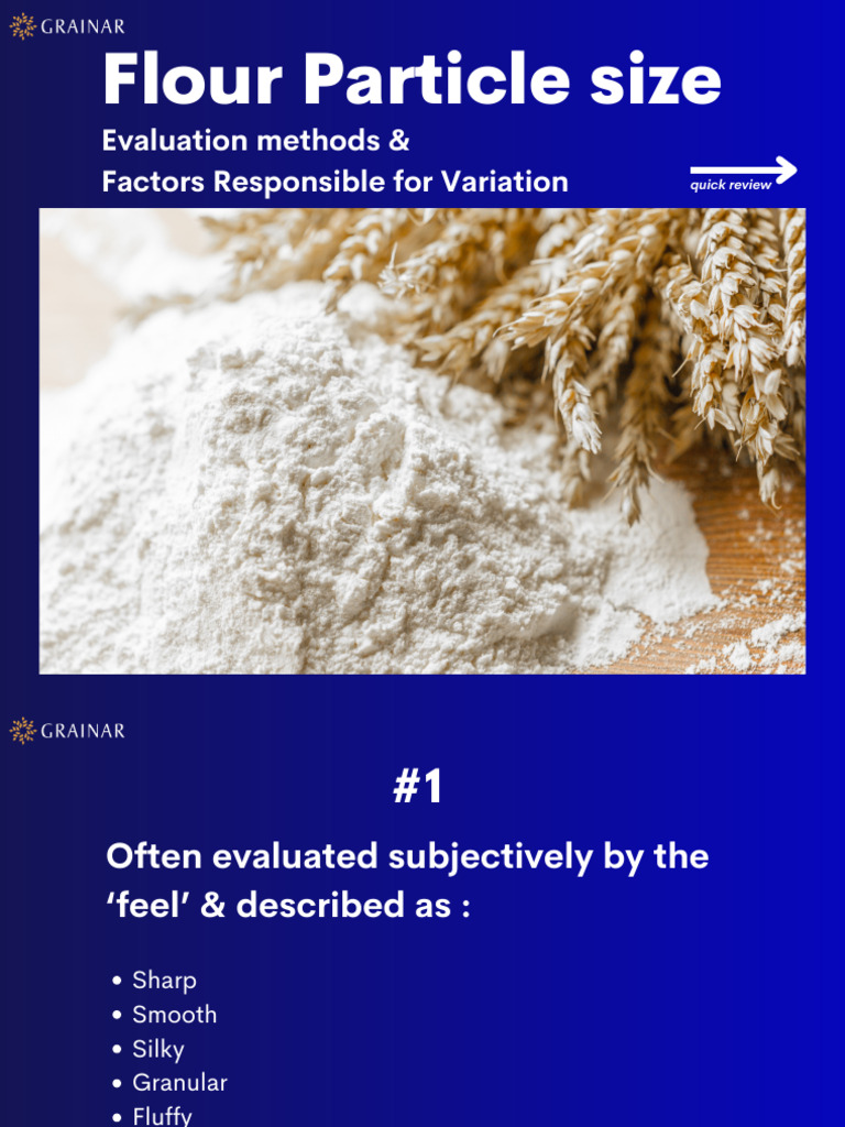 Flour Particle Size | PDF | Physical Sciences