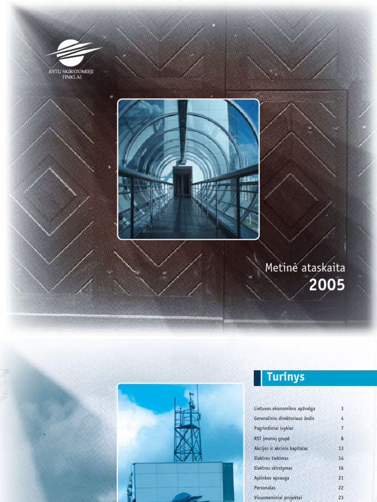 RST - Metinė Ataskaita | PDF